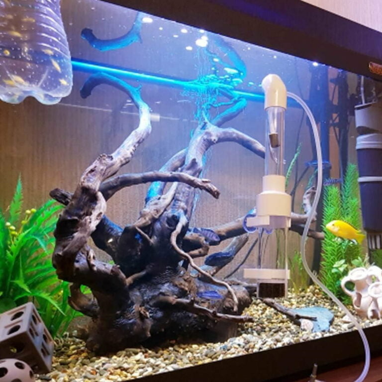 Aquarium Central - Cichlids Fish Egg Incubator Egg Tumbler 40mm ...